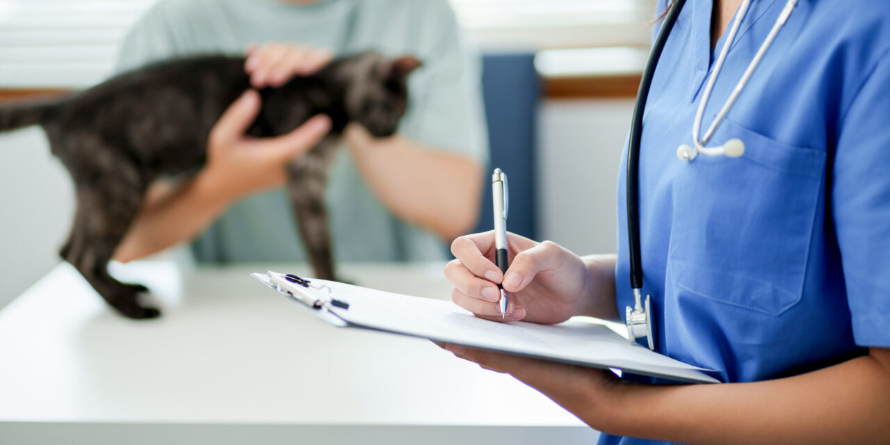 Diagnostics - Doylestown Veterinary Hospital